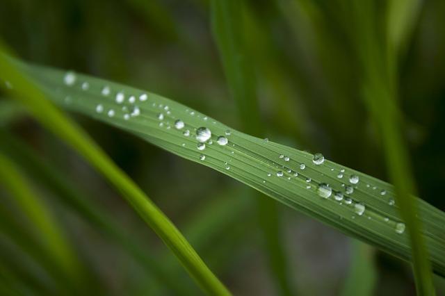 Pompes funèbres Wizernes, salons funéraires et services funéraires à ...